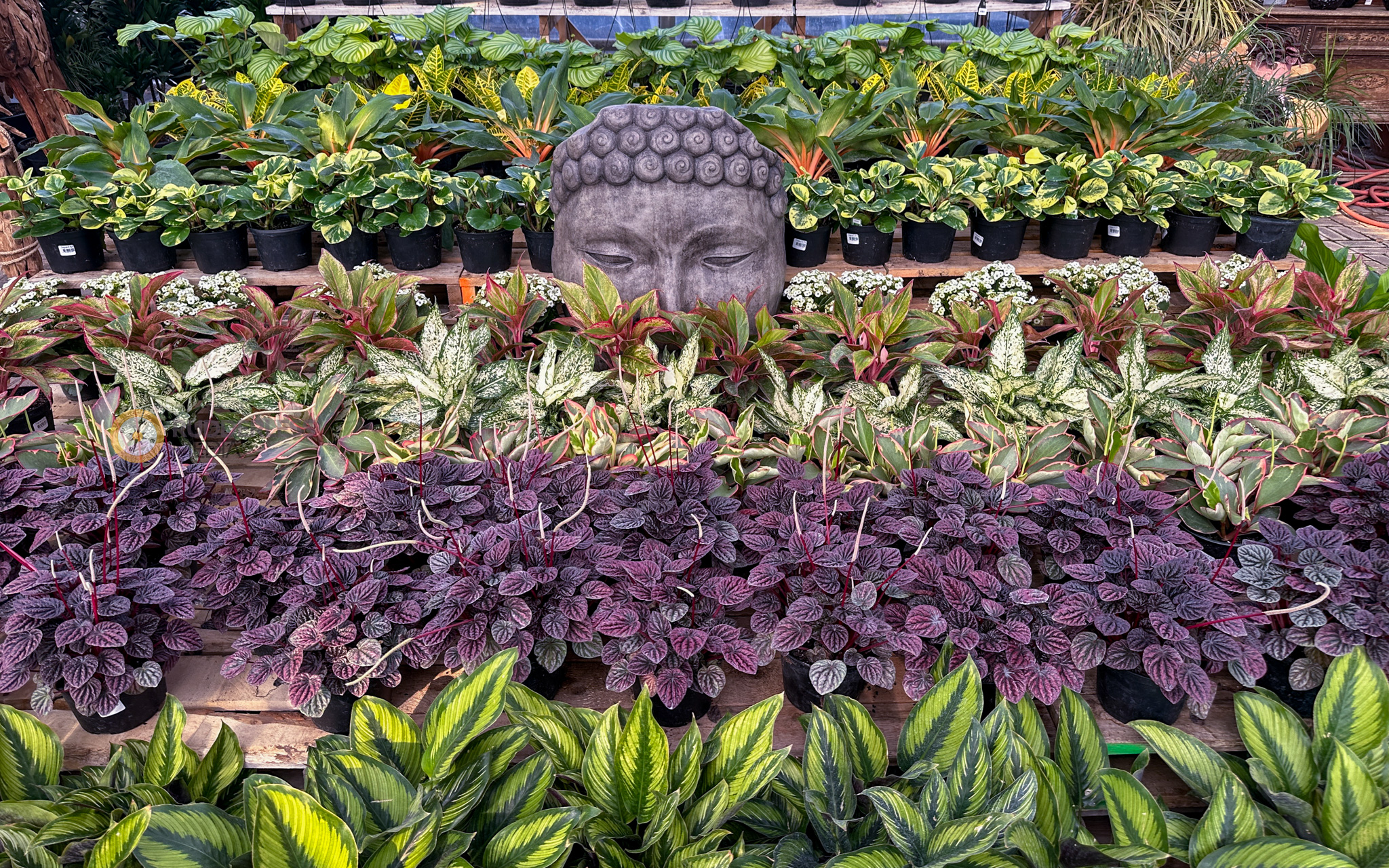 The Best Things to See in Laval, QC, on Your Next Weekend Getaway ...