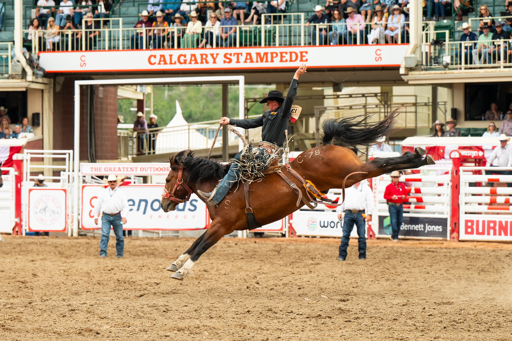 Your Complete Guide to Visiting Calgary: Attractions, Restaurants ...